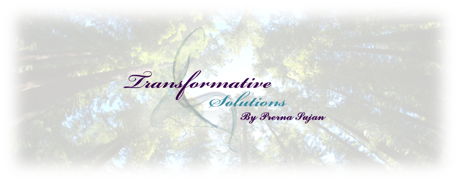 Transformative Solutions by Prerna Sujan